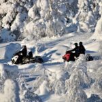 Levi: Forest Snowmobile Safari - What the Reviews Say