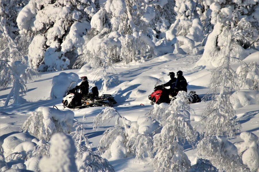 Levi: Forest Snowmobile Safari - What the Reviews Say