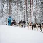Levi: Husky and Reindeer Farm Visit with Snowmobiling - Who Will Love This Tour?