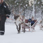 Levi: Lappish Reindeer Sled Ride 3 km - The Journey: 3 km Reindeer Sled Ride Through a Winter Wonderland