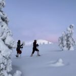 Levi: Pallas-Yllästunturi National Park Snowshoeing Tour - Practical Details and What’s Included