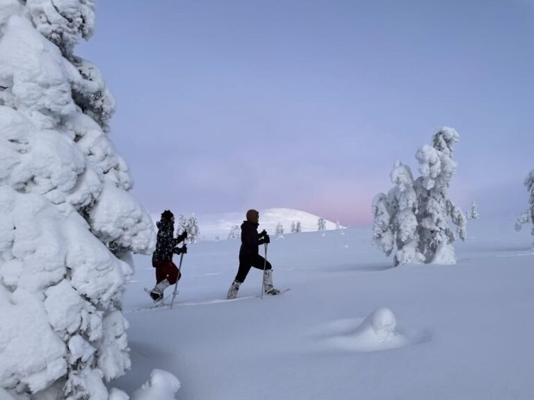 Levi: Pallas-Yllästunturi National Park Snowshoeing Tour - Practical Details and What’s Included