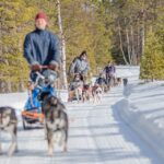 Levi Polar Lights Tours: Reindeer and Husky Taster - Transportation, Group Size, and Practical Details
