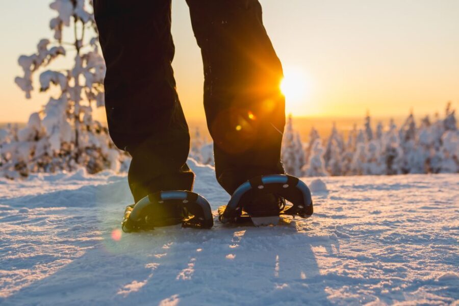 Levi: Scenic Levi Snowshoe Trip - What Travelers Say: Authentic Perspectives
