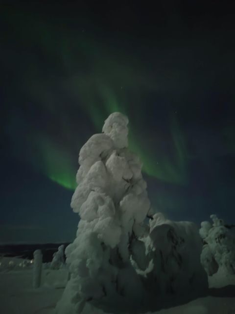 Levi: Search for Northern Lights in snowmobile sleigh - The Itinerary Breakdown