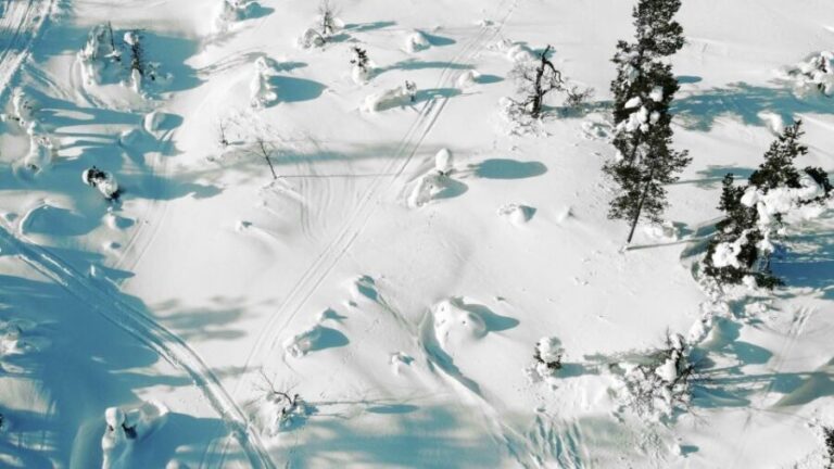 Levi: Snowshoe Adventure in the Wilderness - How About the Value?