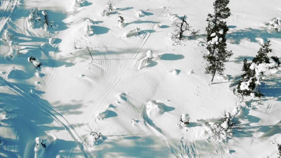 Levi: Snowshoe Adventure in the Wilderness - How About the Value?