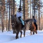 Levi: Snowy Forest Ride and Polar Lights Tours - An In-Depth Look at the Experience