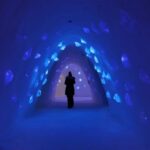 Levi: Trip to Lapland Snow Village with Entry Tickets - The Itinerary in Detail