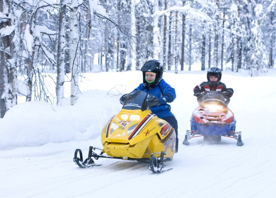 Levi: Winter Highlights Tour with Snowmobiling - Visit to the Reindeer and Husky Farms
