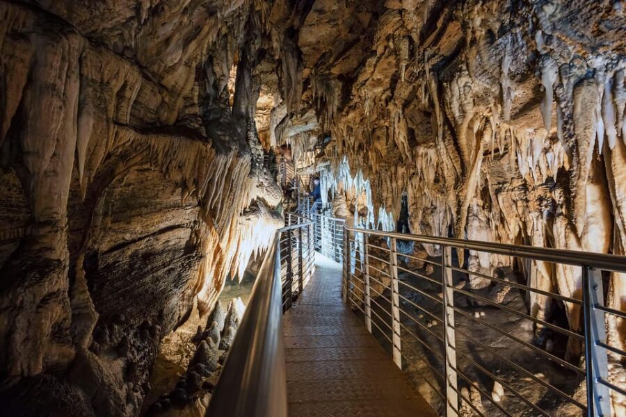 Levigliani: Visit In The Cave Antro del Corchia - What You Can Expect from the Antro del Corchia Tour