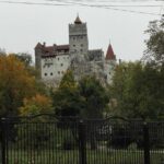 LiBEARty - the Brown Bear Sanctuary from Zarnesti - Exploring the Tour in Detail