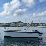License free boat rental around the coast of santa ponsa - The Review-Based Perspective