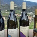 Lievàntu Wine Experience - What to Expect from the Walk and Taste