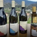 Lievàntu Wine Experience: Tour & tasting in Levanto Valley - Value and Practical Considerations