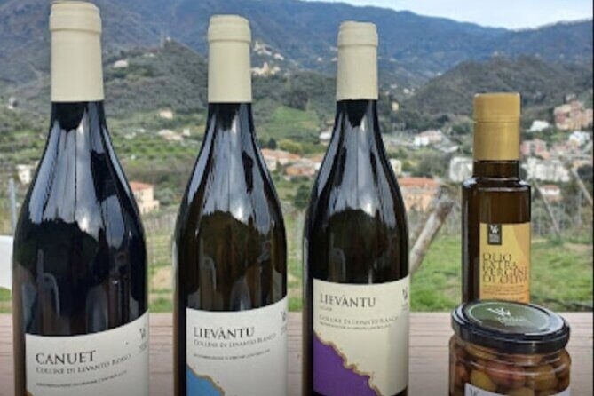 Lievàntu Wine Experience - What to Expect from the Walk and Taste
