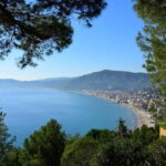 Liguria: tour of Alassio and Laigueglia in bloom - Who Should Consider This Tour?