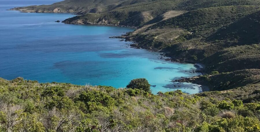 L'ile-rousse Corsica : Catamaran day trip Agriates Desert - Why This Tour Works Well