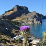 Lindos Odyssey: Noon to Evening Experience (Small Group) - A Closer Look at the Itinerary