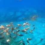 Lindos: Submarine Cruise with Swimming Stop at Navarone Bay - Practical Details and Value