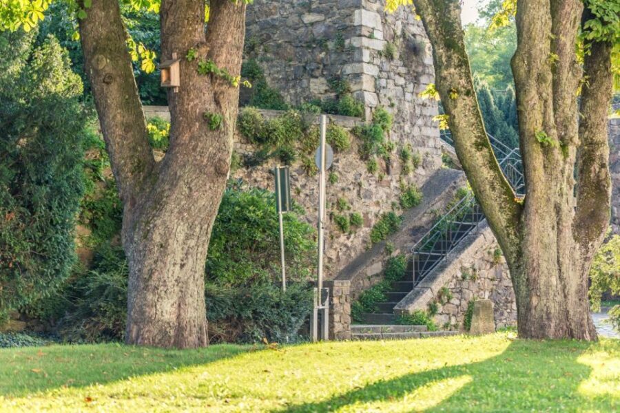 Linz: Private Guided Cycling Tour - Analyzing the Value: Cost, Comfort, and Convenience