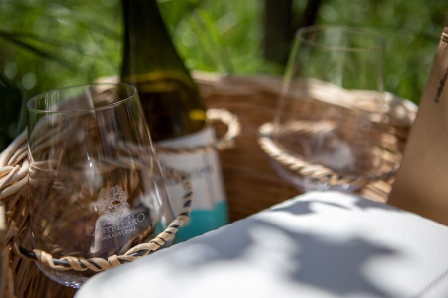 LIPARI WINERY - PIC NIC IN THE VINEYARD - A Closer Look at the Itinerary