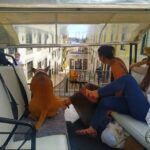 Lisbon: All City Premium Private Guided Tour by Tuk-Tuk - Exploring Lisbon in Style and Comfort