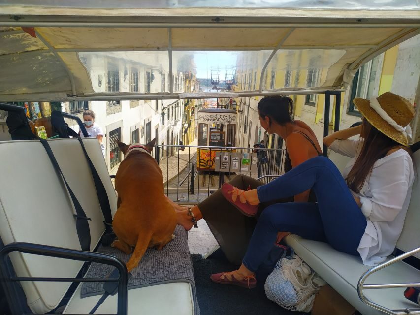 Lisbon: All City Premium Private Guided Tour by Tuk-Tuk - Exploring Lisbon in Style and Comfort