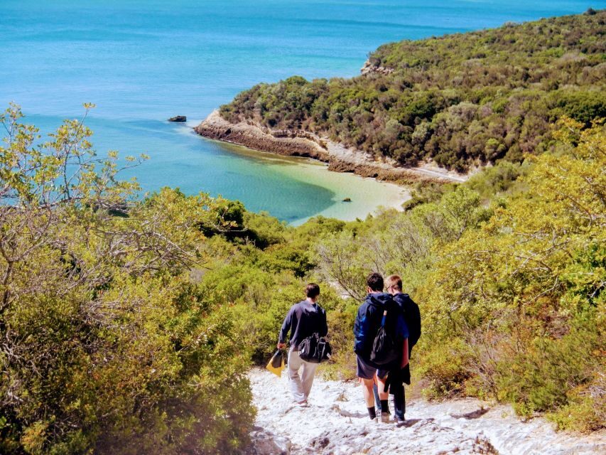 Lisbon: Arrábida Snorkeling Adventure - Snorkeling in the Crystal Blue Waters