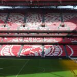 Lisbon: Benfica Luz Stadium Tour with Souvenir Scarf - A Close Look at the Itinerary