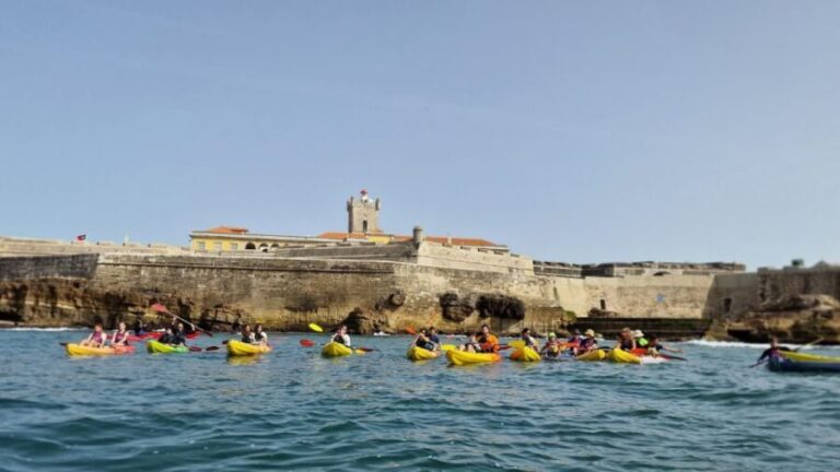 Lisbon: Coast Guided Kayak Tour - Who Will Love This Tour?