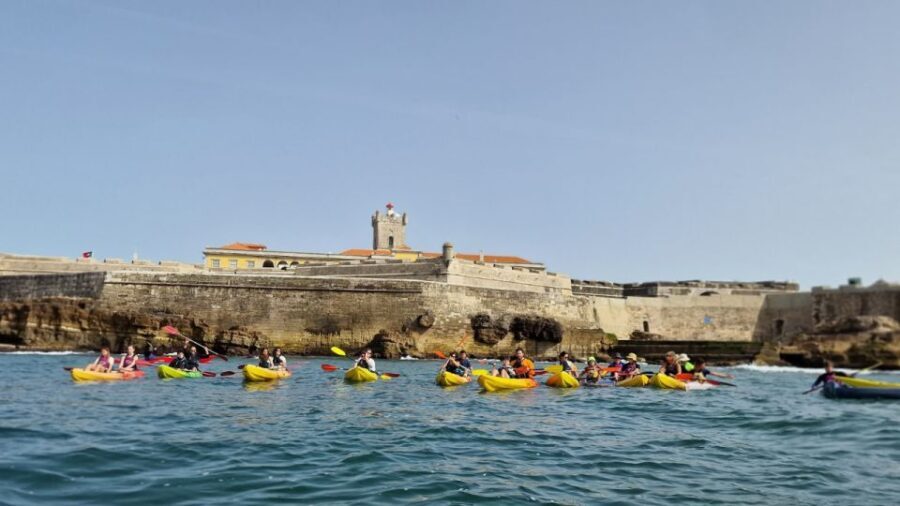 Lisbon: Coast Guided Kayak Tour - Who Will Love This Tour?