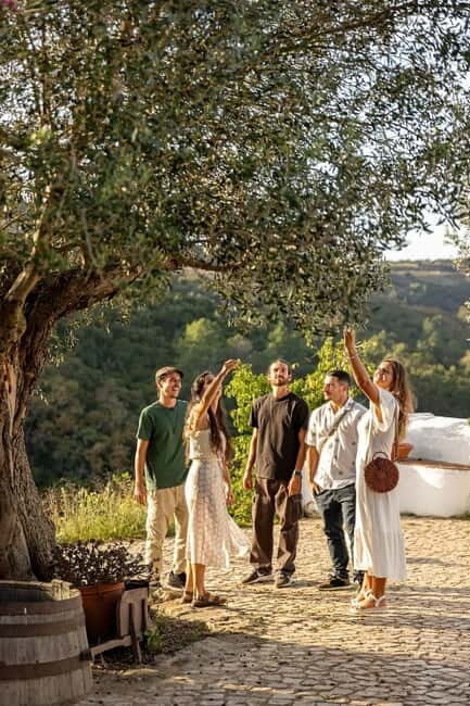 Lisbon Countryside Food Tour on a Vintage Car - Exploring Mafra and Its Surroundings