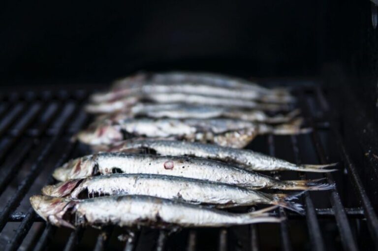 Lisbon: Cruise to the Beach with BBQ, Open Bar and Music - The Itinerary: From City to Sea and Back