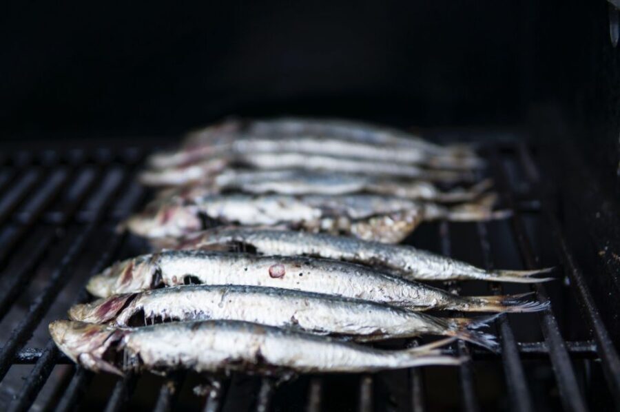 Lisbon: Cruise to the Beach with BBQ, Open Bar and Music - The Itinerary: From City to Sea and Back