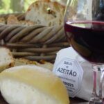 Lisbon: Day Tour of Azeitão, Arrábida, Setúbal, Palmela - Transportation and Guides