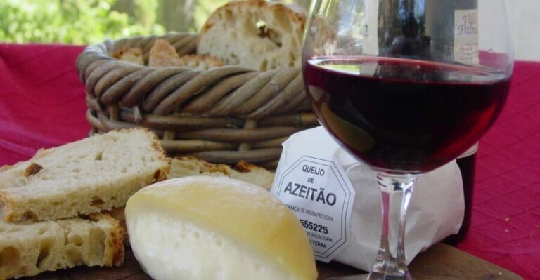 Lisbon: Day Tour of Azeitão, Arrábida, Setúbal, Palmela - Transportation and Guides