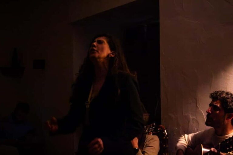 Lisbon: Dinner with Fado Show with the Rising Stars of Fado - Who Should Consider This Experience?