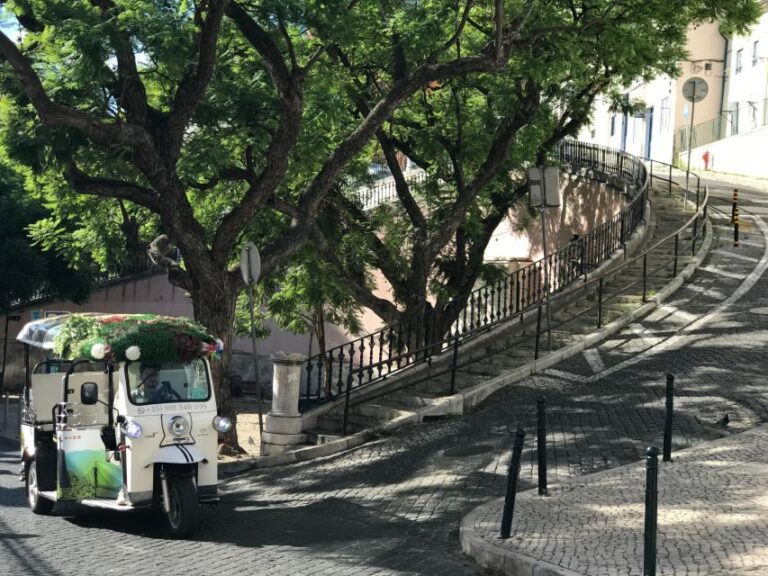 Lisbon: Famous 28 Tram Line Guided Private Tour by Tuk-Tuk - The Itinerary in Detail: How the Tour Unfolds