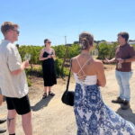 Lisbon: Full-Day Wine Tasting Tour in Setúbal ALL INCLUSIVE - A Closer Look at What’s Included