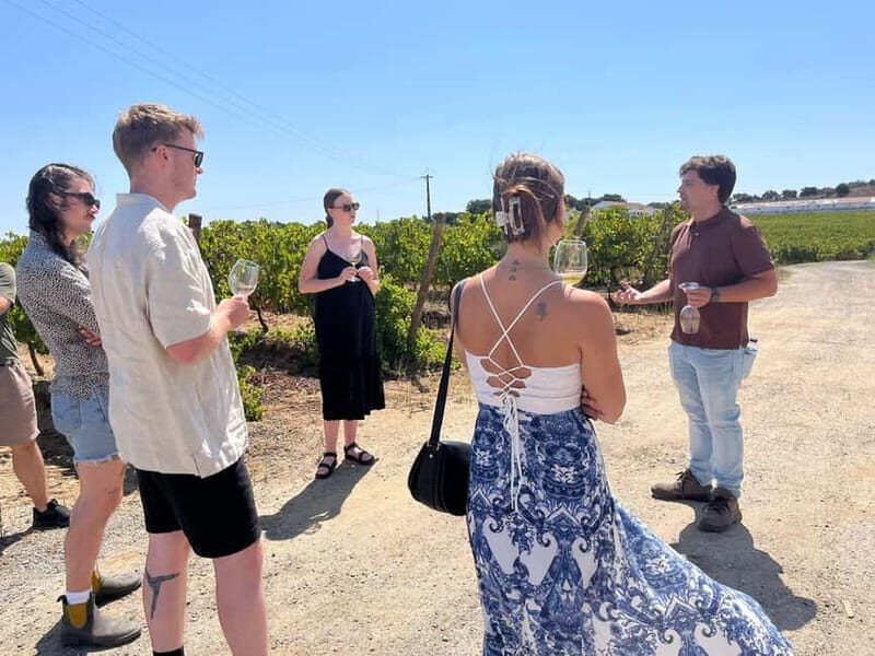 Lisbon: Full-Day Wine Tasting Tour in Setúbal ALL INCLUSIVE - A Closer Look at What’s Included
