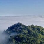 Lisbon: Half-Day Sintra Tour with Pena Palace and Regaleira - Transportation and Comfort