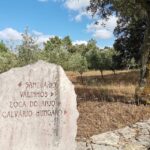 Lisbon: Holy Miracle Church Santarem & Fatima Private Tour - Whats Included & Whats Not