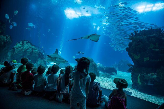 Lisbon Hop-On Hop-Off Bus and Boat Tour with Oceanário Ticket - Practical Insights and What to Expect