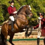 Lisbon: Morning of Equestrian Art with Lusitano Horses - What to Expect During Your Morning at the Lusitano Stables