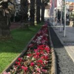 Lisbon: Pena Palace, Sintra, Cascais, and Cabo Roca Day Trip - The Experience: What You Can Expect