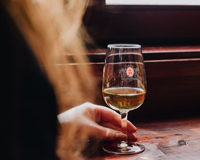 Lisbon: Port Wine Tasting at Taylors Shop and Tasting Room - What to Expect: A Step-by-Step Breakdown