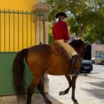 Lisbon: Portuguese Riding School Trainig with Lusitano Horse - What the Reviews Say