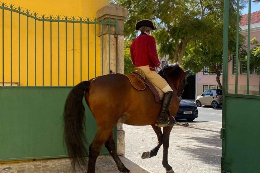 Lisbon: Portuguese Riding School Trainig with Lusitano Horse - What the Reviews Say