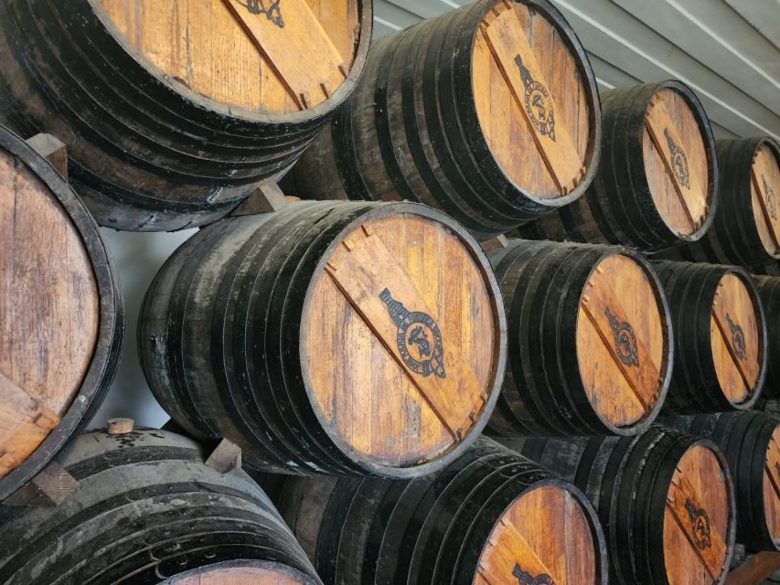 Lisbon: Private All Inclusive Setúbal & Arrábida Wine Tour - Practical Details: What to Expect